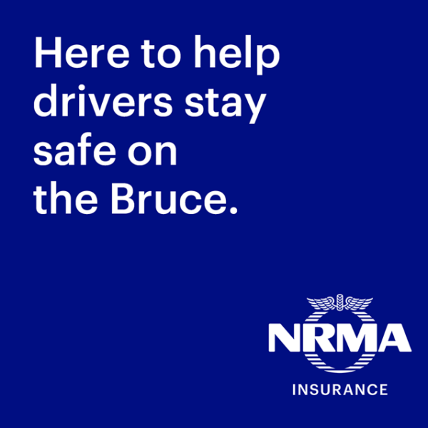 Tourism & Events Queensland - Bluey’s World Campaign - ThinkNewsBrands